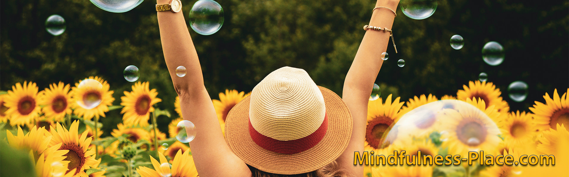 How to Have More Fun in Your Life - Mindfulness Place